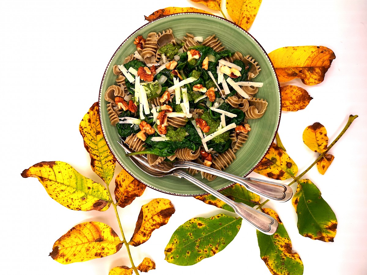 Bliesgau Ölmühle Hanf-Radiatori mit Spinat und Walnuss-Pesto ...